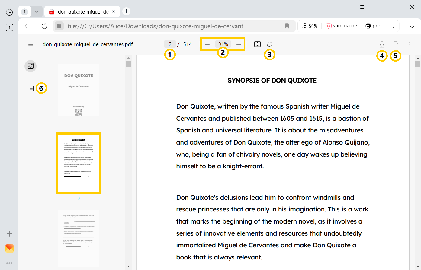 Viewing PDF, FB2, EPUB files | Browser